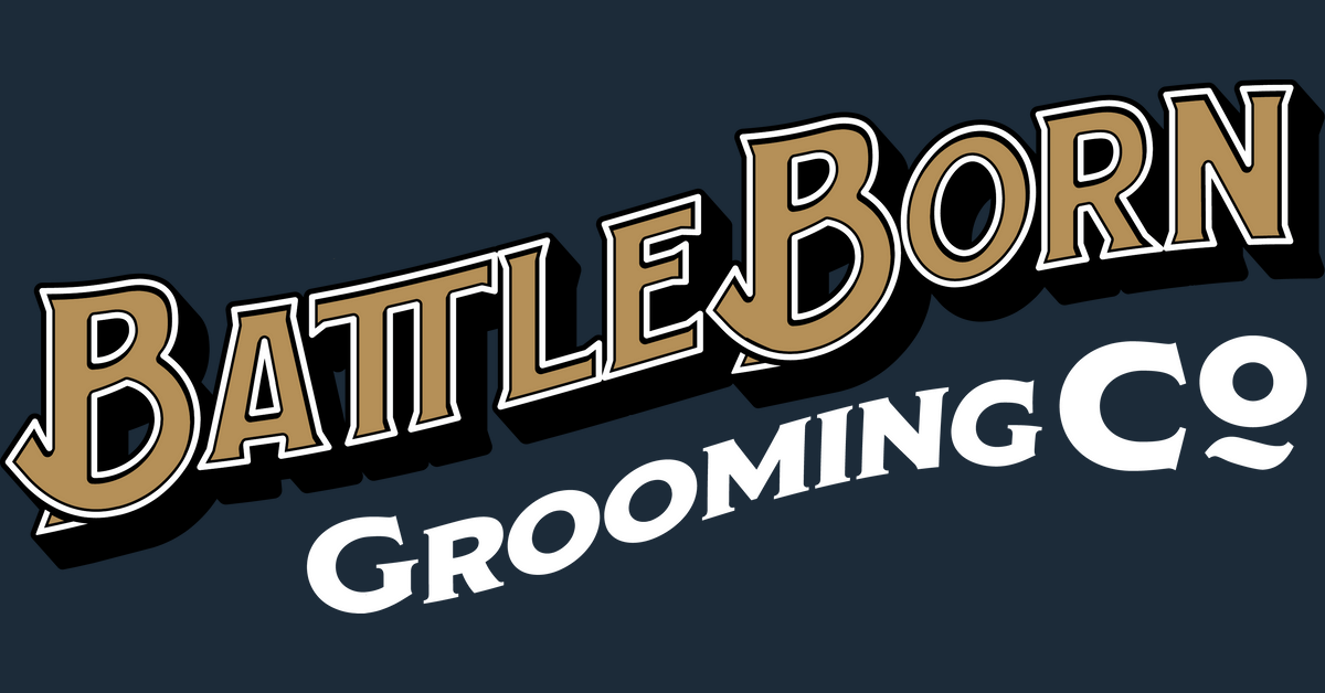 Battleborn Logo